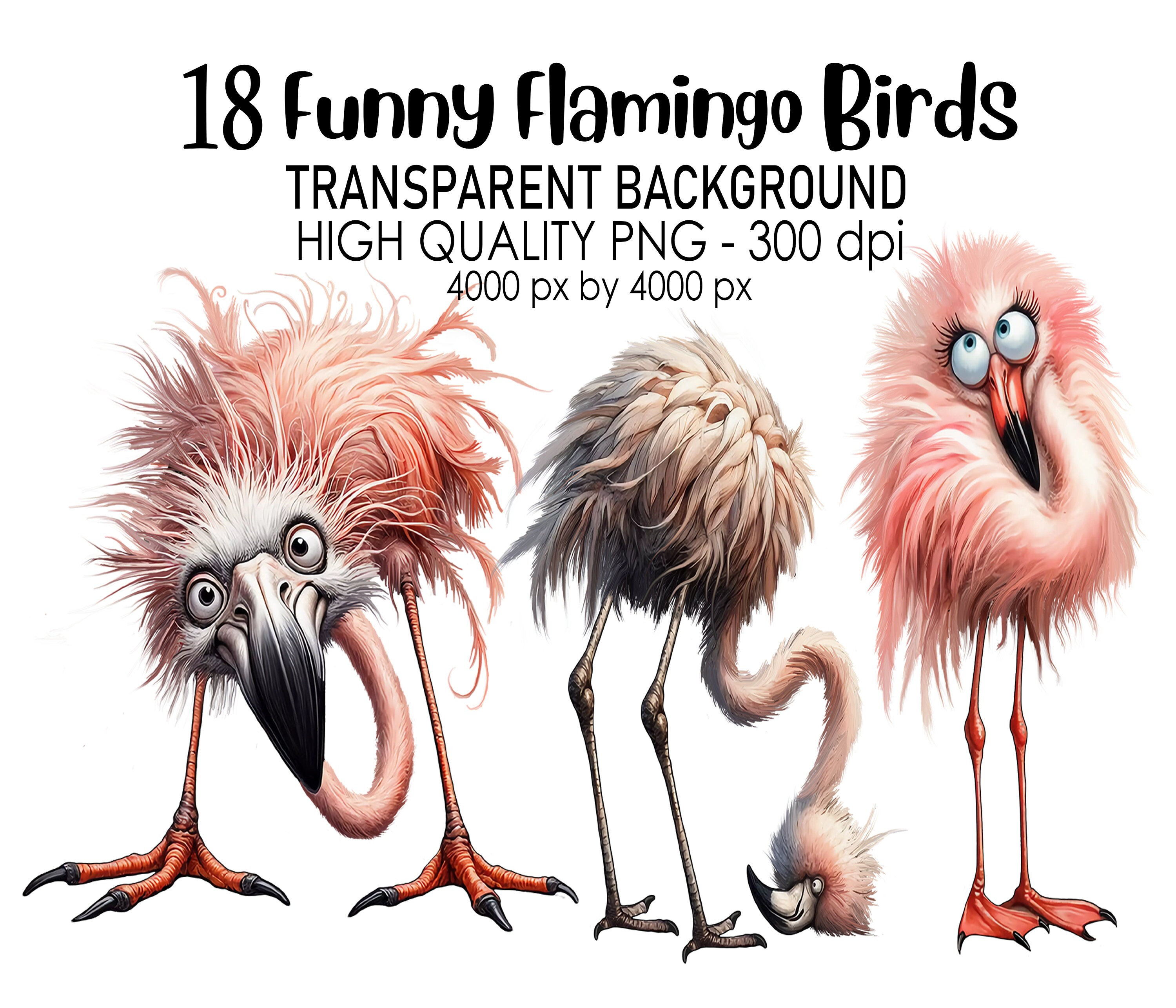 Funny Flamingo Birds PNG Clipart: Quirky Pink Tropical Birds - 18 ...