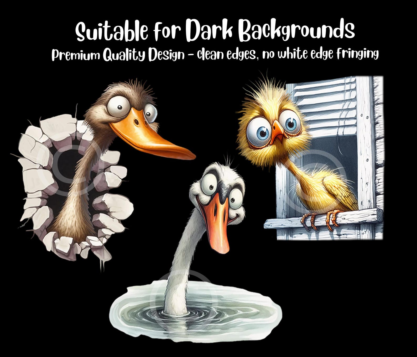 30 Transparent Background Funny Peeking Birds Clip Art, PNG 300 Dpi ...