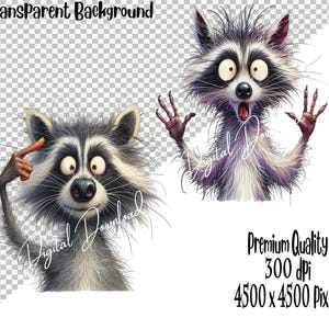18 PNG Funny Sassy Raccoon Portraits Clip Art Transparent Background ...