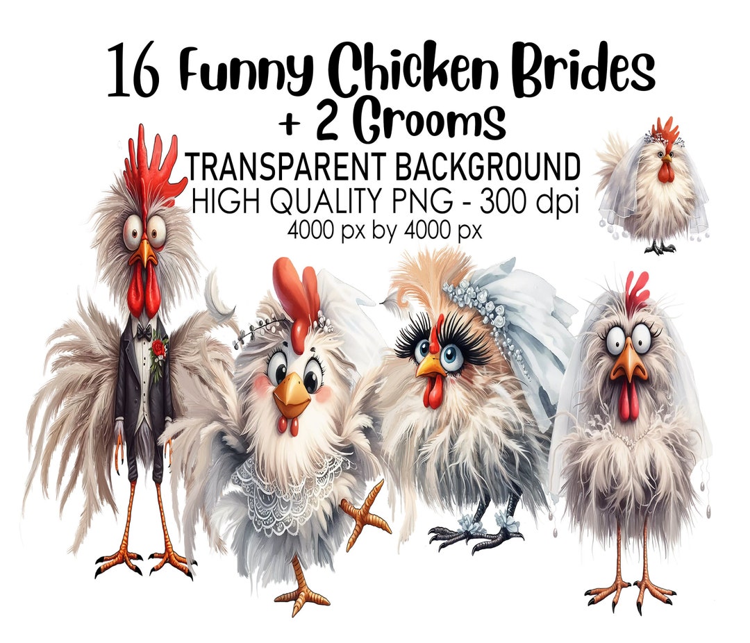 16 Transparent Background Funny Chicken Brides Clip Art, PNG 300 Dpi ...