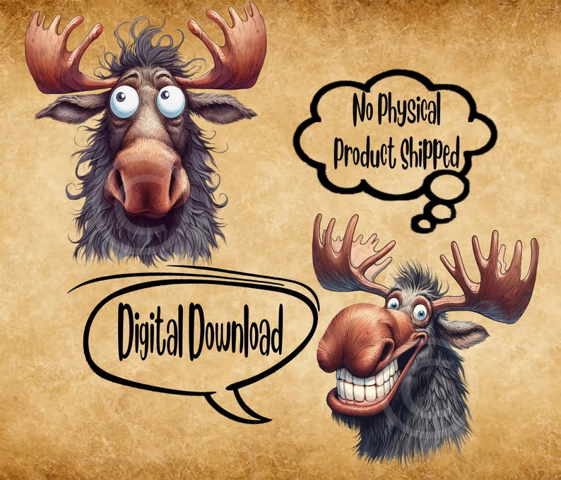12 Transparent Background Funny Moose Portraits Clip Art, PNG 300 Dpi ...