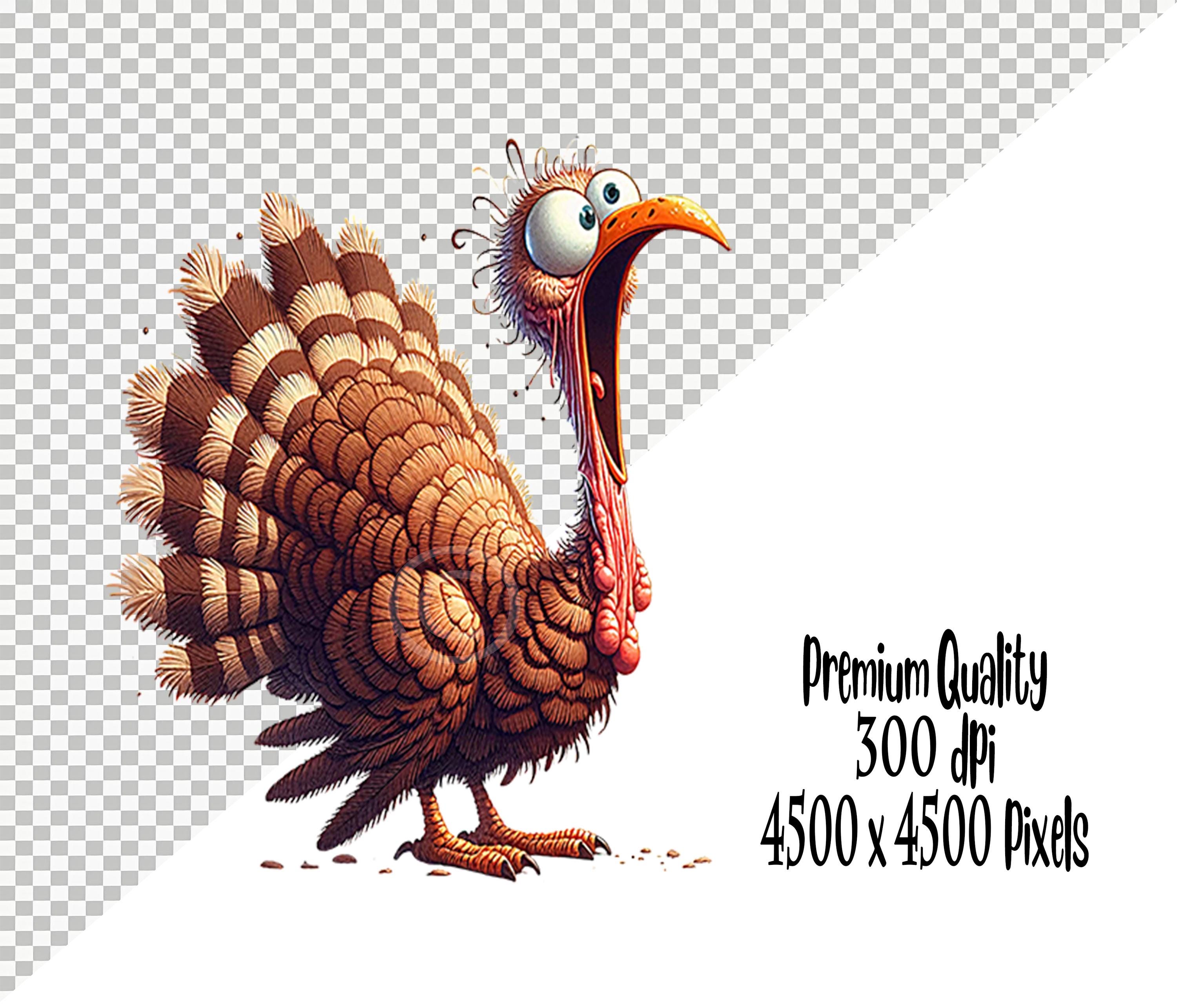20 Transparent Background Funny Turkey Birds Clip Art, PNG 300 Dpi High ...