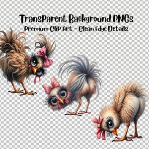 15 Funny Cheeky Chickens Clip Art, Transparent Background PNG 300 DPI ...