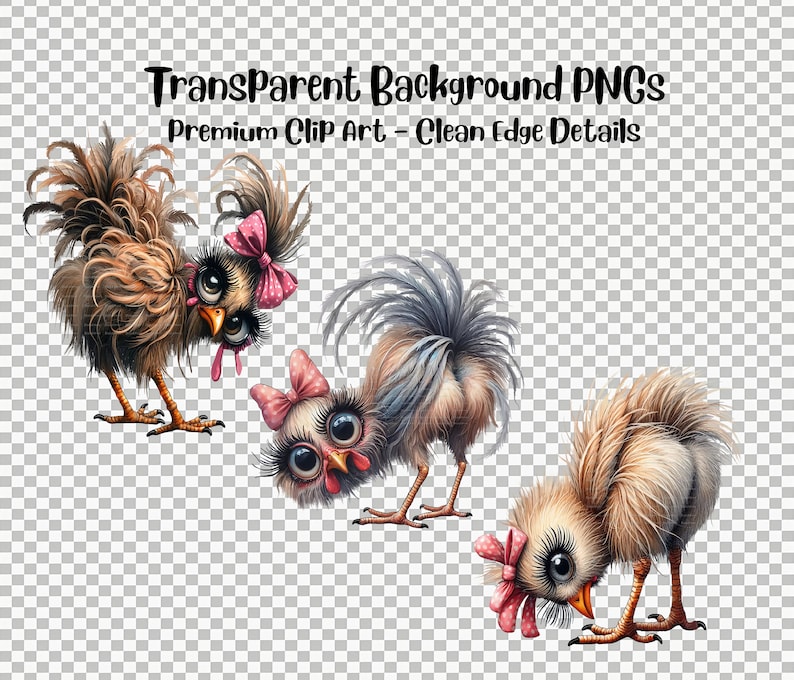 15 Funny Cheeky Chickens Clip Art, Transparent Background PNG 300 DPI ...