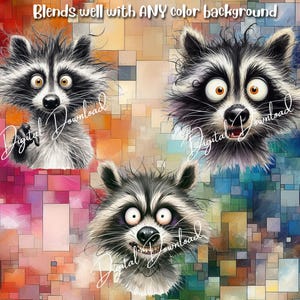 18 PNG Funny Sassy Raccoon Portraits Clip Art Transparent Background ...