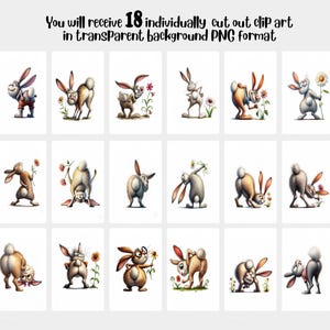 18 Transparent Background Funny Cheeky Bunny Rabbits Clip Art, PNG 300 ...