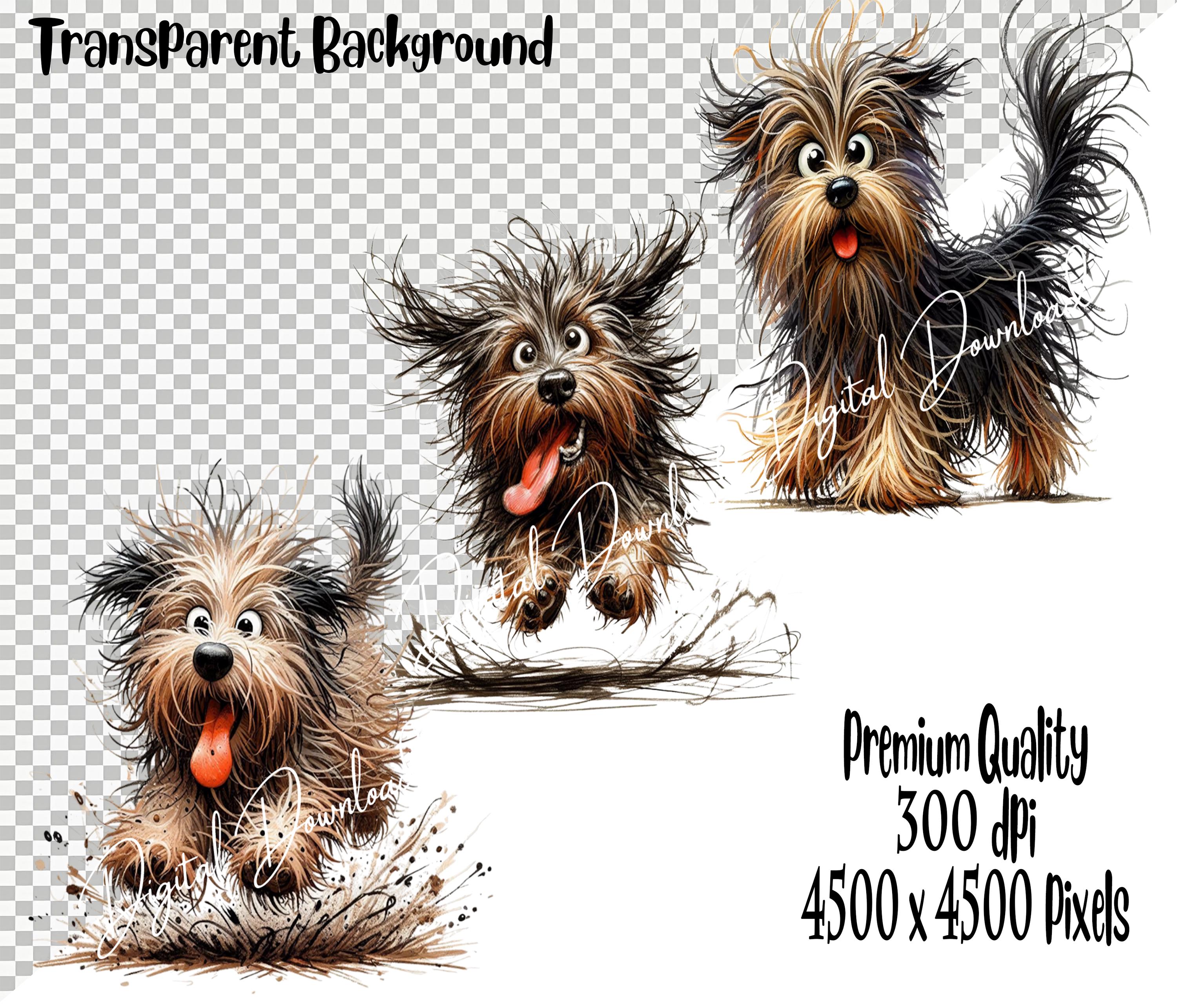 24 Transparent Background Scruffy Zoomie Dog Clip Art, PNG 300 Dpi High ...