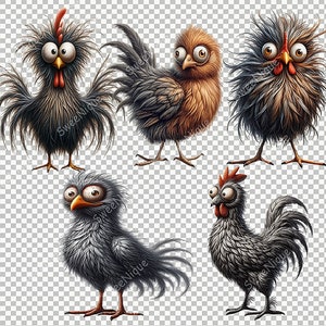 20 Transparent Background Funny Crazy Chickens Clip Art, PNG 300 Dpi ...