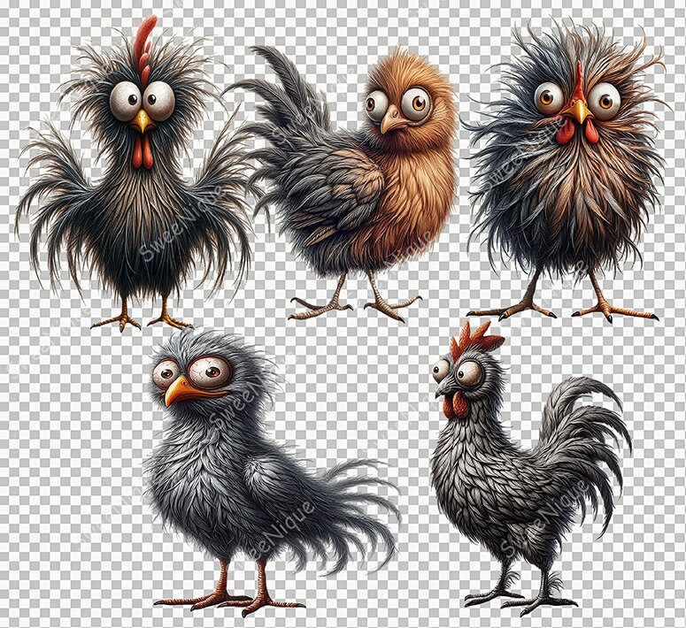 20 Transparent Background Funny Crazy Chickens Clip Art, PNG 300 Dpi High Quality Digital ...