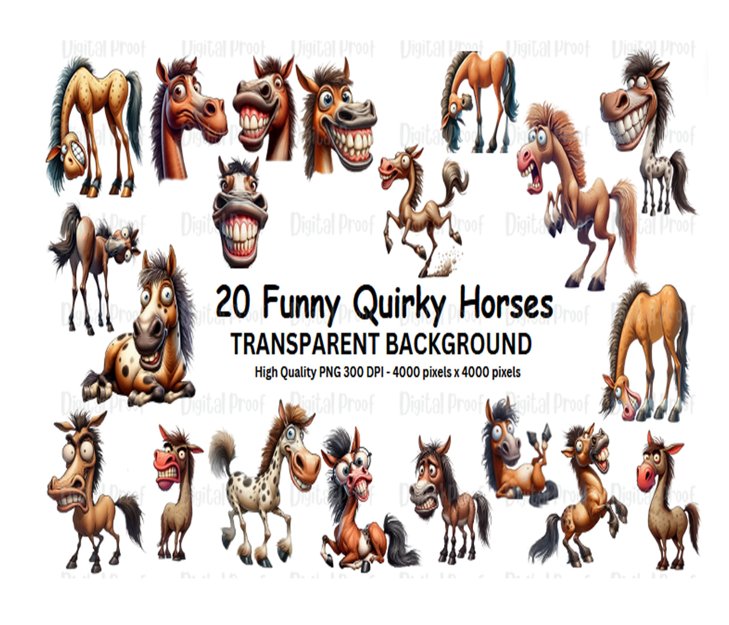 20 Funny Quirky Horse Clip Art, Transparent Background PNG, 300 DPI ...