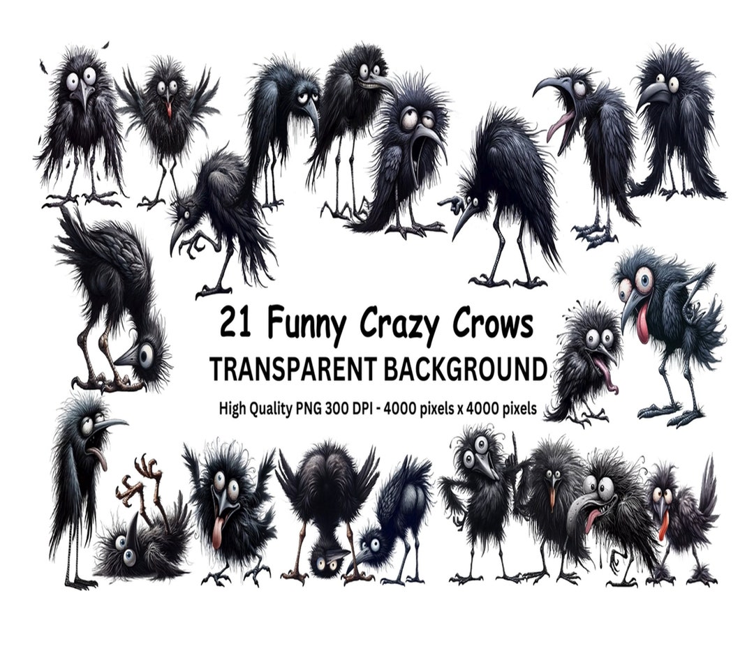 21 Transparent Background Funny Crazy Crows Clip Art, PNG 300 Dpi High ...