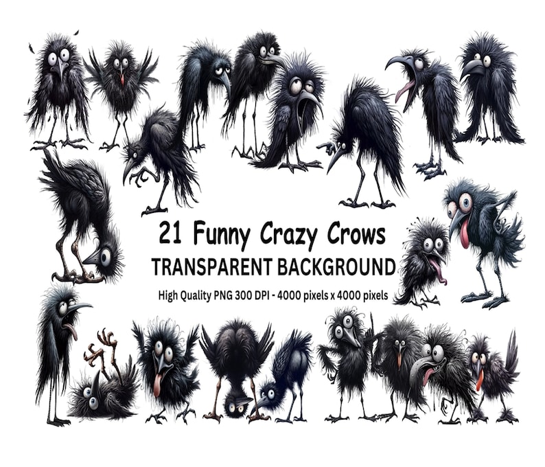 21 Transparent Background Funny Crazy Crows Clip Art, PNG 300 Dpi High ...
