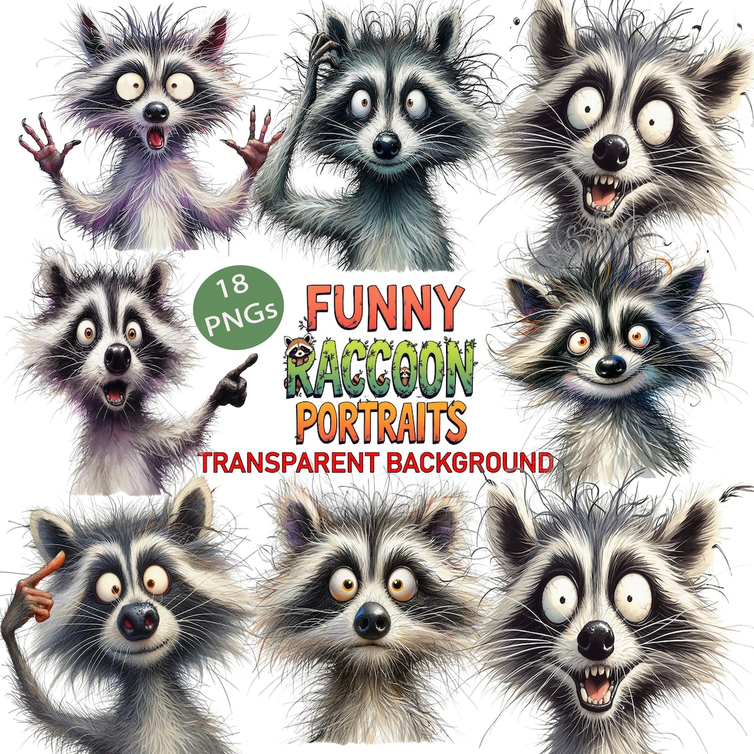 18 PNG Funny Sassy Raccoon Portraits Clip Art Transparent Background ...