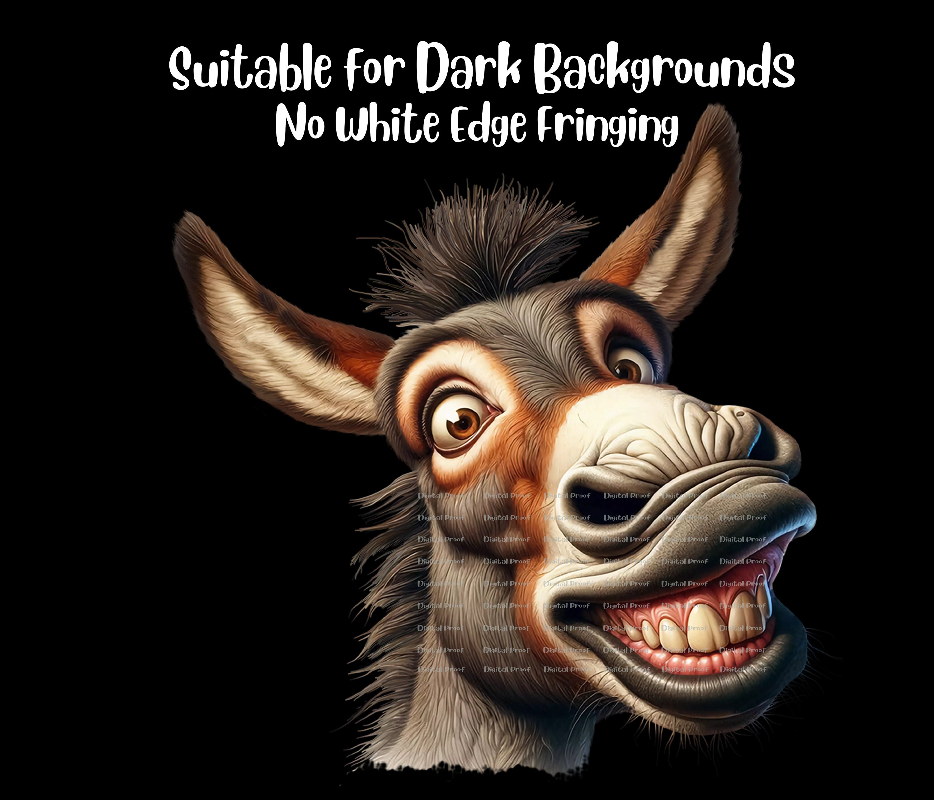 12 Transparent Background Funny Donkey Portraits Clip Art, PNG 300 Dpi ...