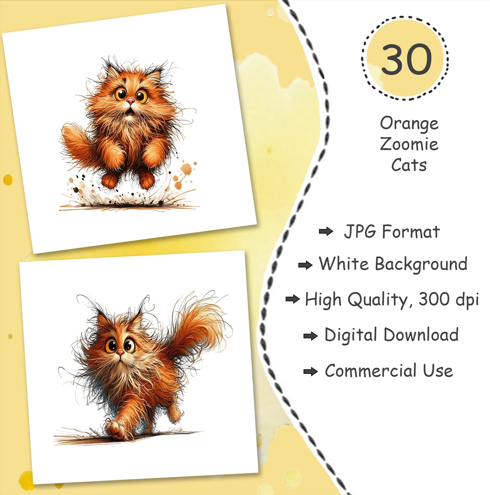 30 Funny Orange Zoomie Cats JPG White Background Clip Art 300 Dpi ...