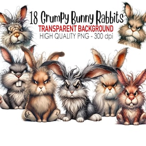 18 Transparent Background Grumpy Bunny Rabbit Clip Art, PNG 300 Dpi ...
