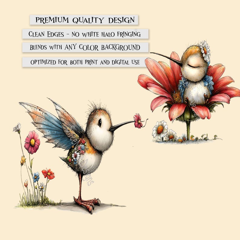 Hummingbird Clipart, 12 PNG Whimsical Bird Graphics, Transparent ...