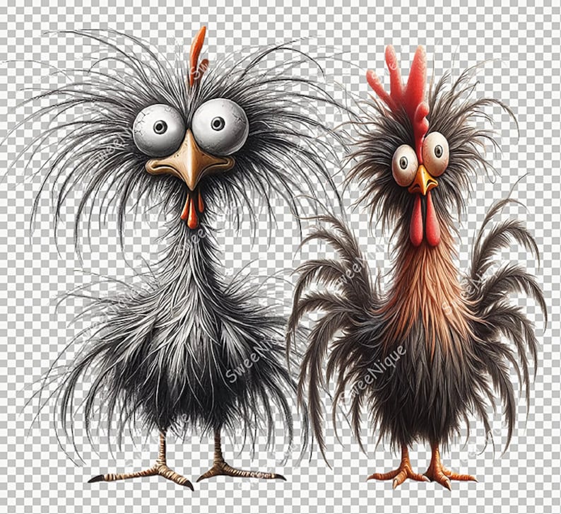 20 Transparent Background Funny Crazy Chickens Clip Art, PNG 300 Dpi ...