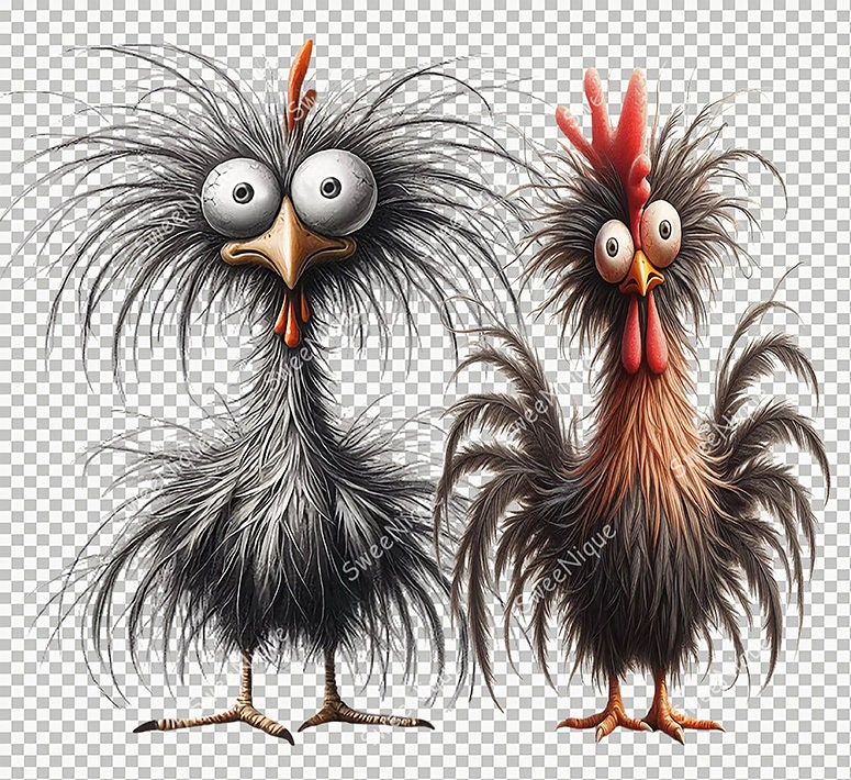 20 Transparent Background Funny Crazy Chickens Clip Art, PNG 300 Dpi ...