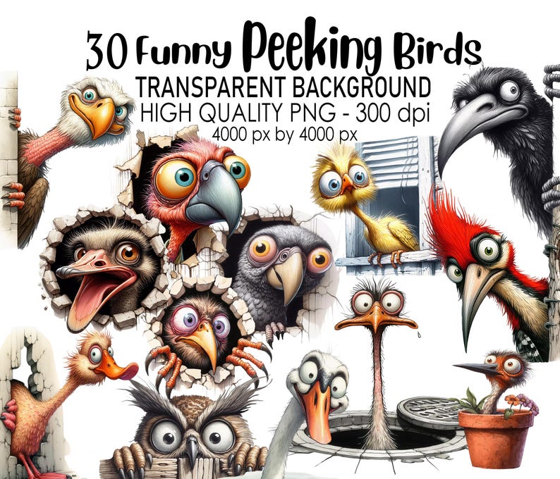30 Transparent Background Funny Peeking Birds Clip Art, PNG 300 Dpi ...