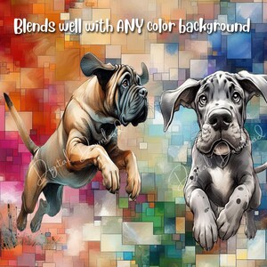 20 Transparent Background Quirky Zoomie Dogs Clip Art, PNG 300 Dpi High ...