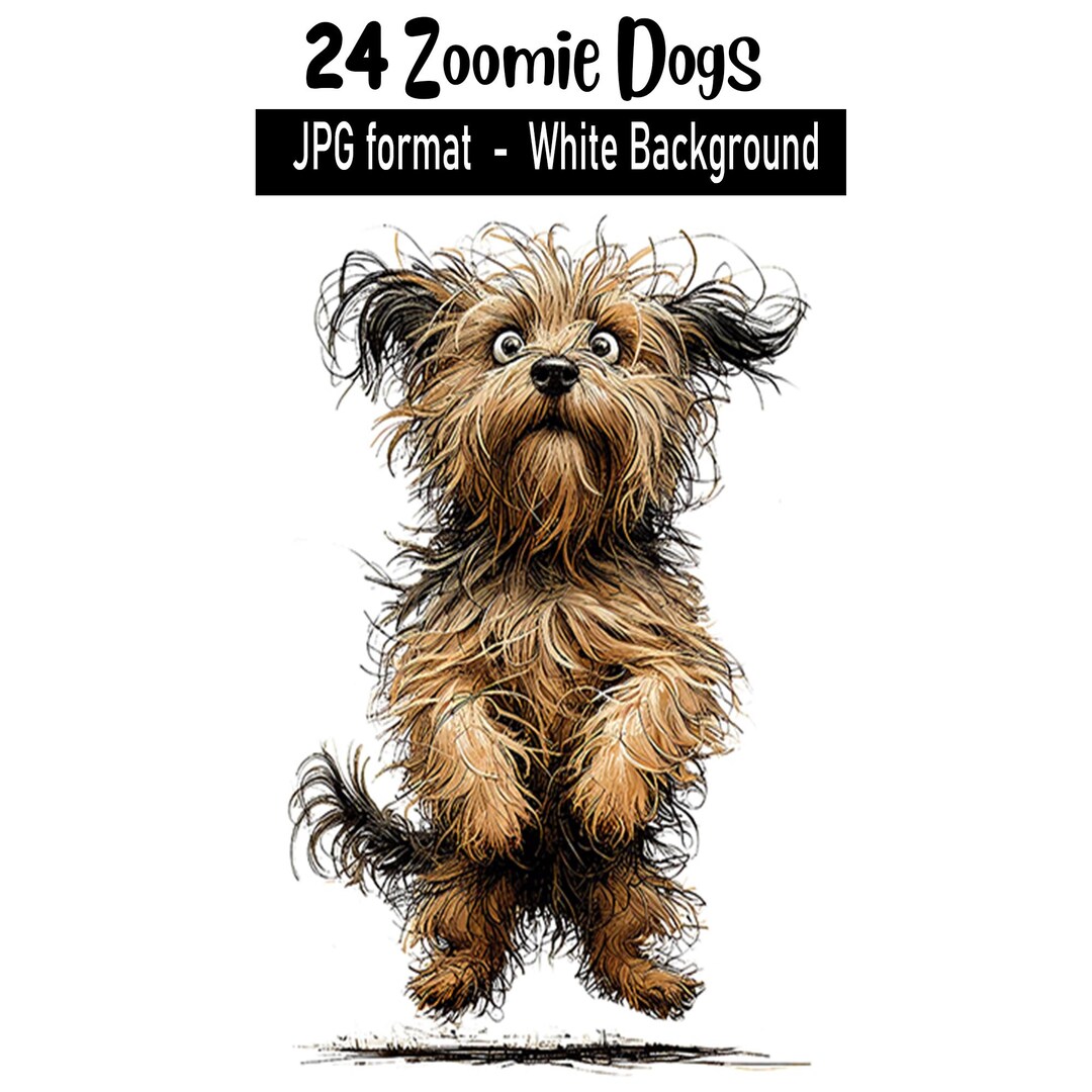24 Funny Zoomie Dogs JPG White Background Clip Art 300 Dpi Digital ...