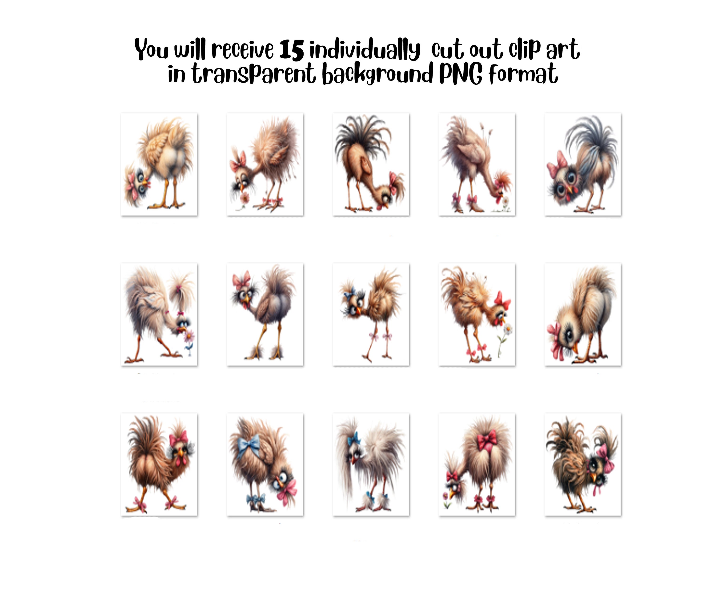 15 Funny Cheeky Chickens Clip Art, Transparent Background PNG 300 DPI High Quality Digital ...
