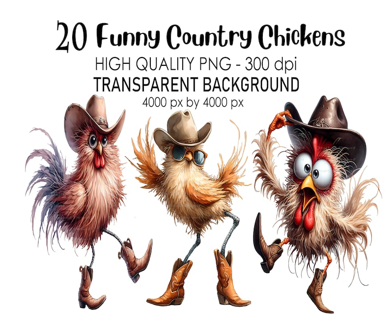 20 Funny Country Chickens Transparent Background PNG 300 DPI High ...