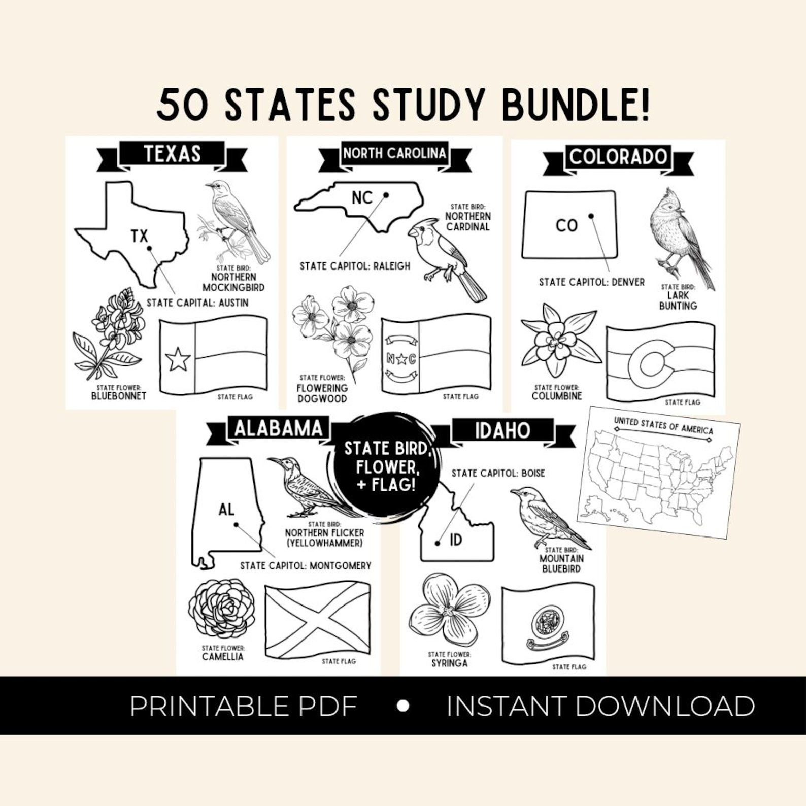 50 States Study and Coloring Bundle, USA State Unit Study, Homeschool ...