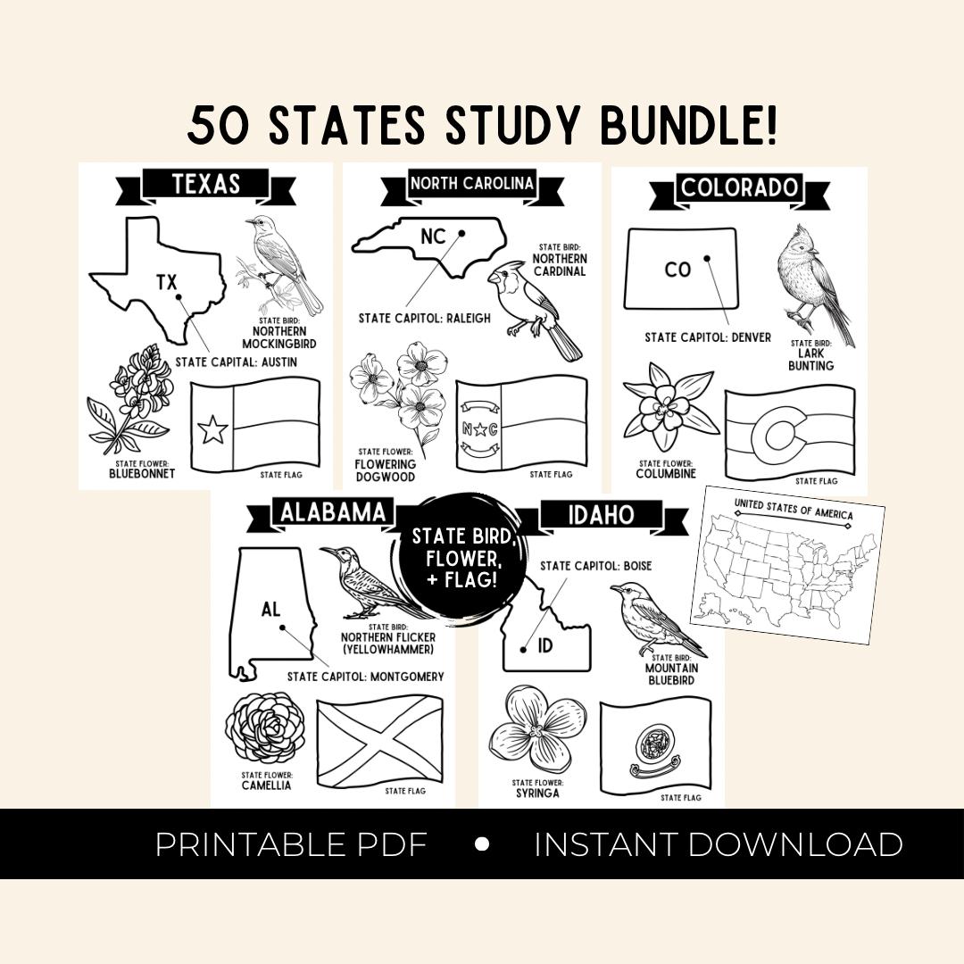 50 States Study and Coloring Bundle, USA Homeschool Geography, Birds ...