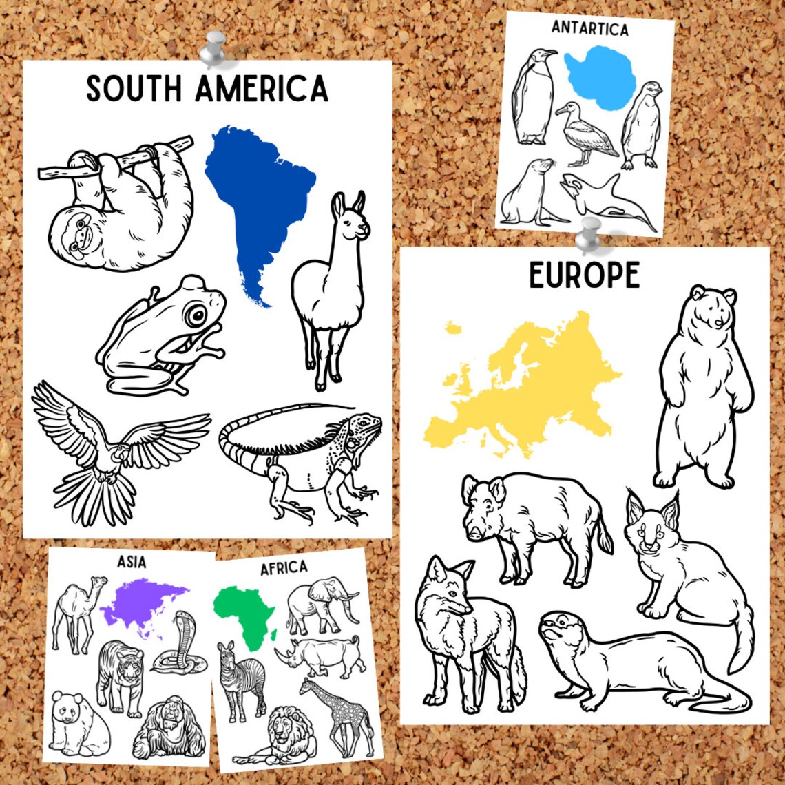 Animals of the Continents Coloring, Continents Study, Animal Coloring ...