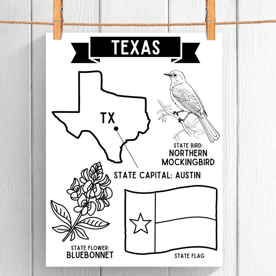 50 States Study and Coloring Bundle, USA State Unit Study, Homeschool ...