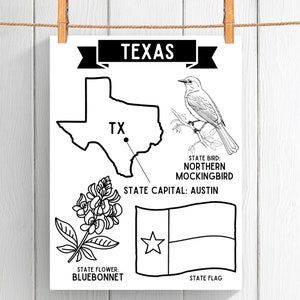 50 States Study and Coloring Bundle, USA State Unit Study, Homeschool ...