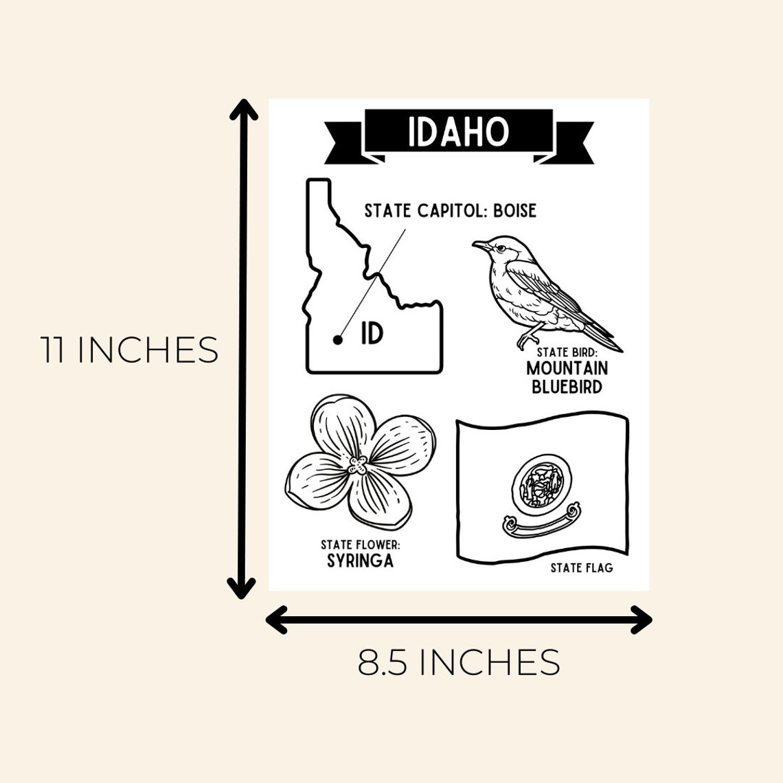 50 States Study and Coloring Bundle, USA State Unit Study, Homeschool ...