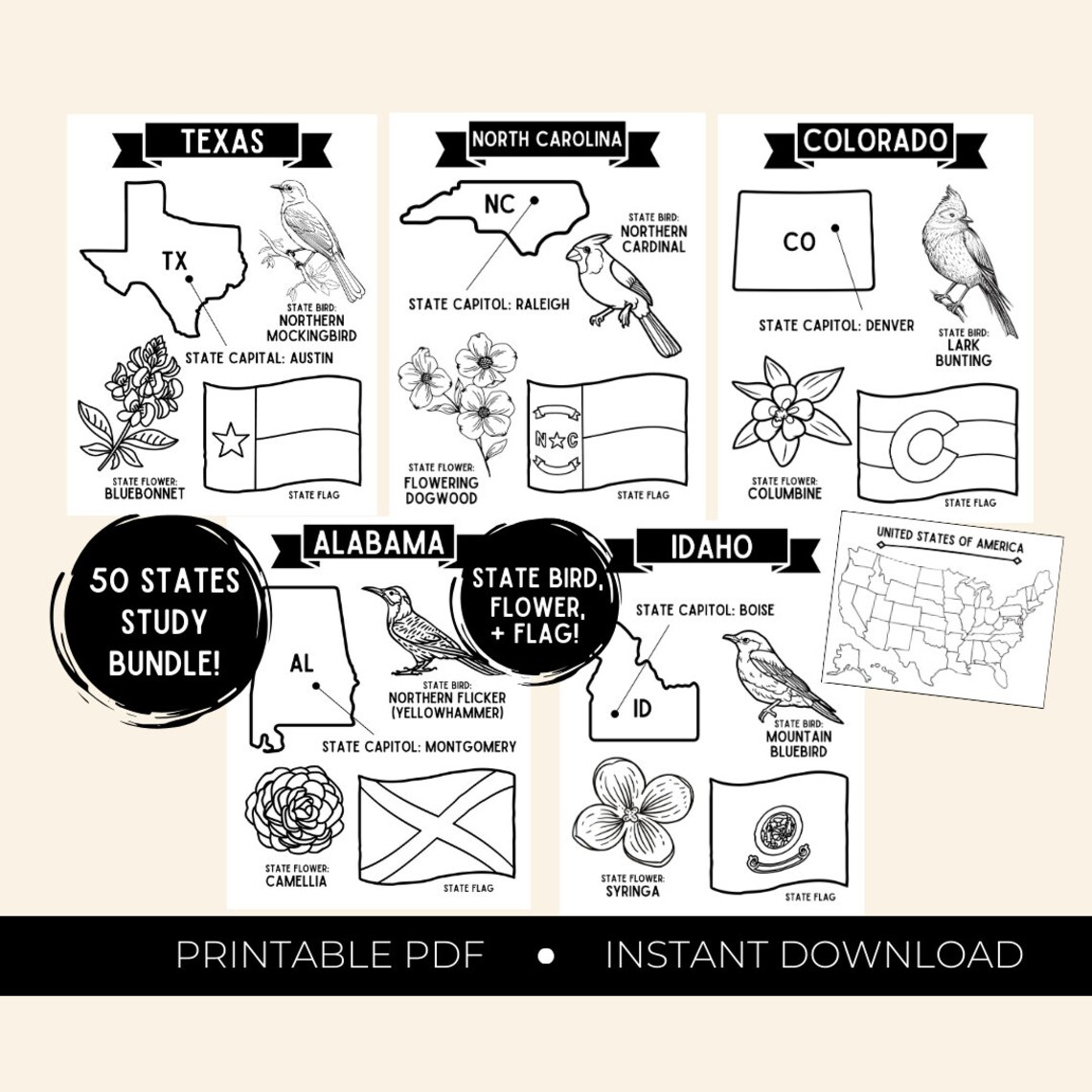 50 States Study and Coloring Bundle, USA State Unit Study, Homeschool ...