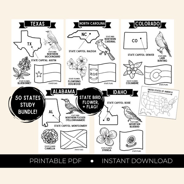 Unit Study Homeschool - Etsy