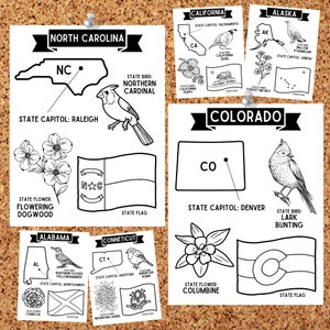 50 States Study and Coloring Bundle, USA State Unit Study, Homeschool ...