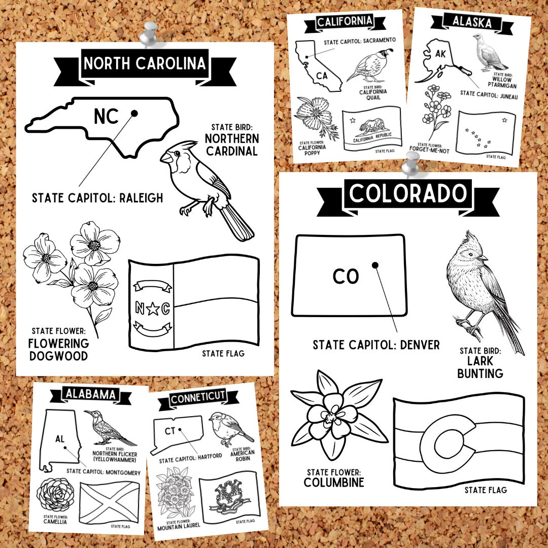 50 States Study and Coloring Bundle, USA State Unit Study, Homeschool ...