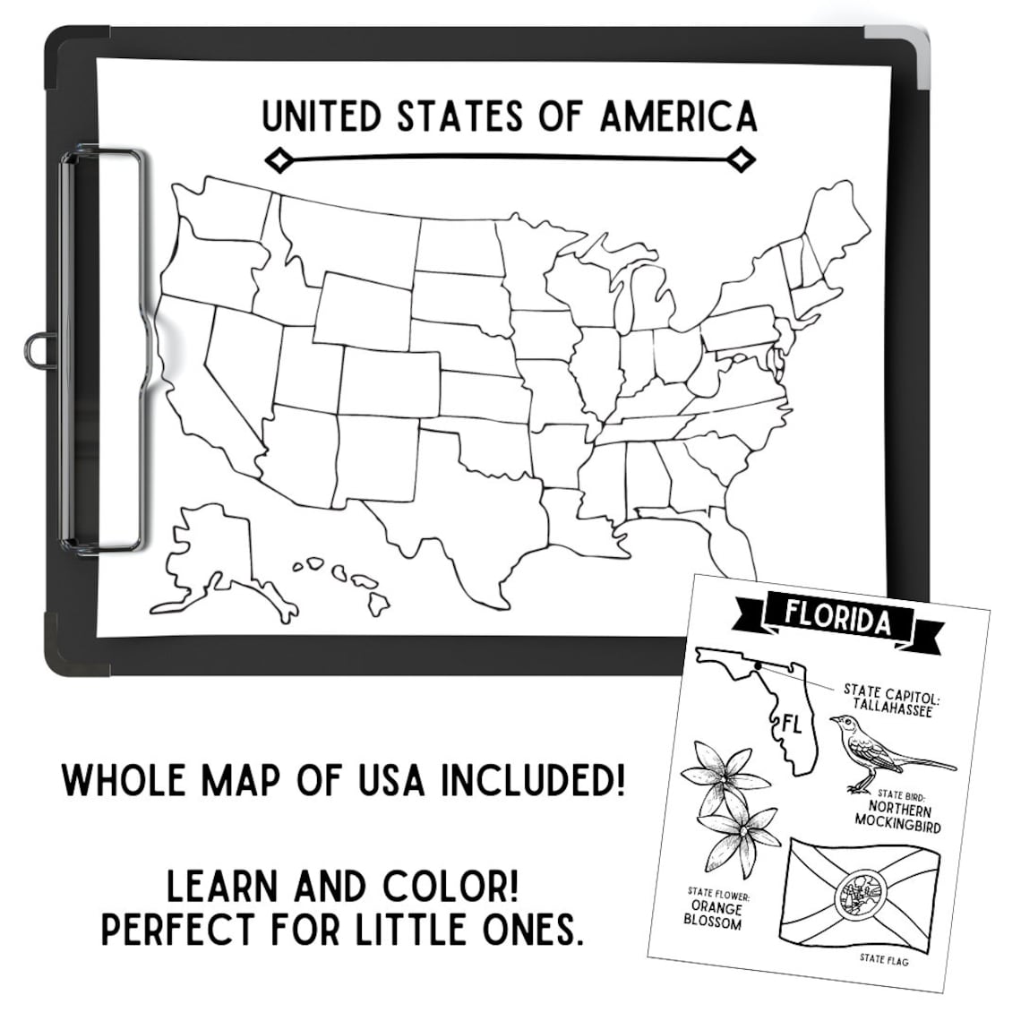 50 States Study and Coloring Bundle, USA State Unit Study, Homeschool ...