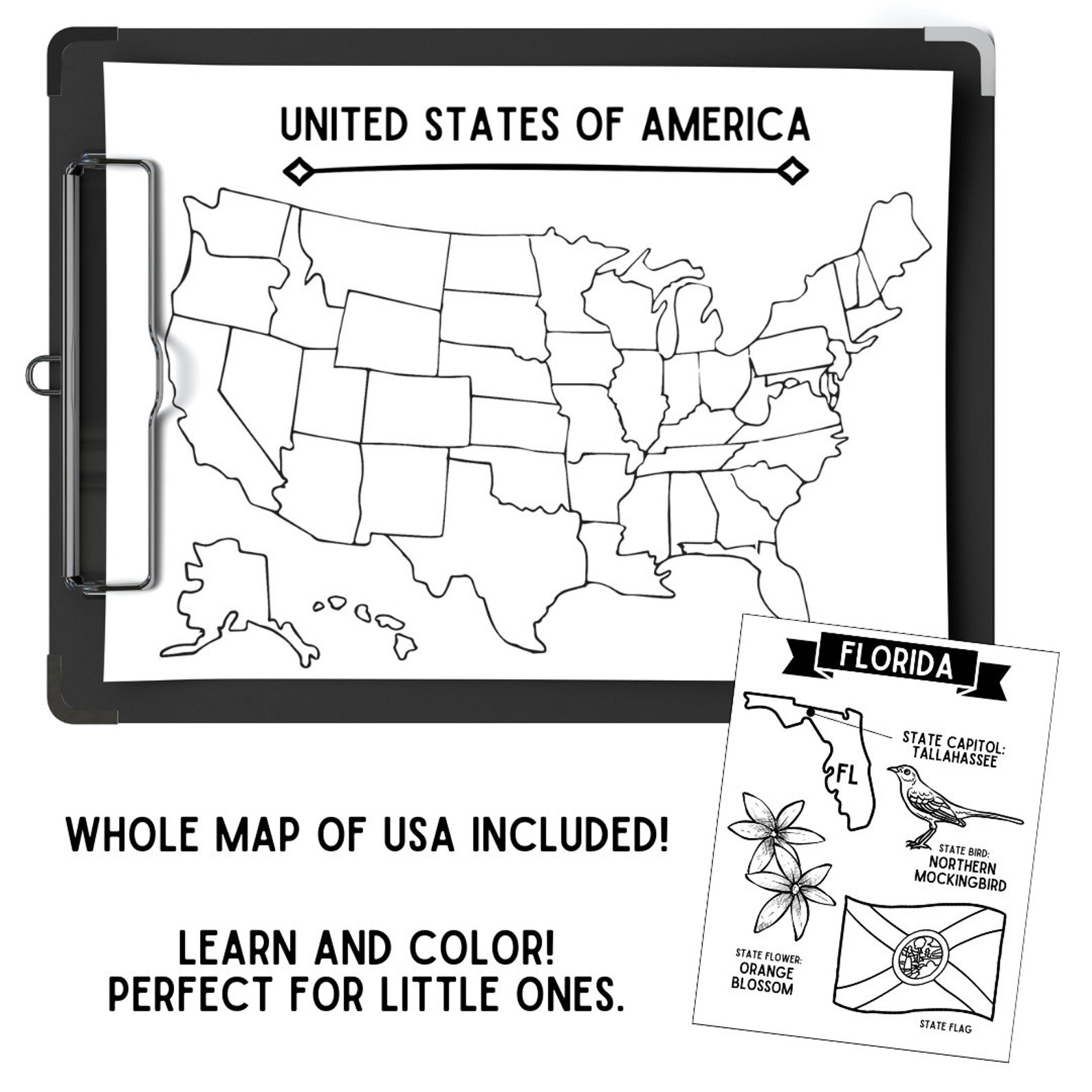 50 States Study and Coloring Bundle, USA State Unit Study, Homeschool ...