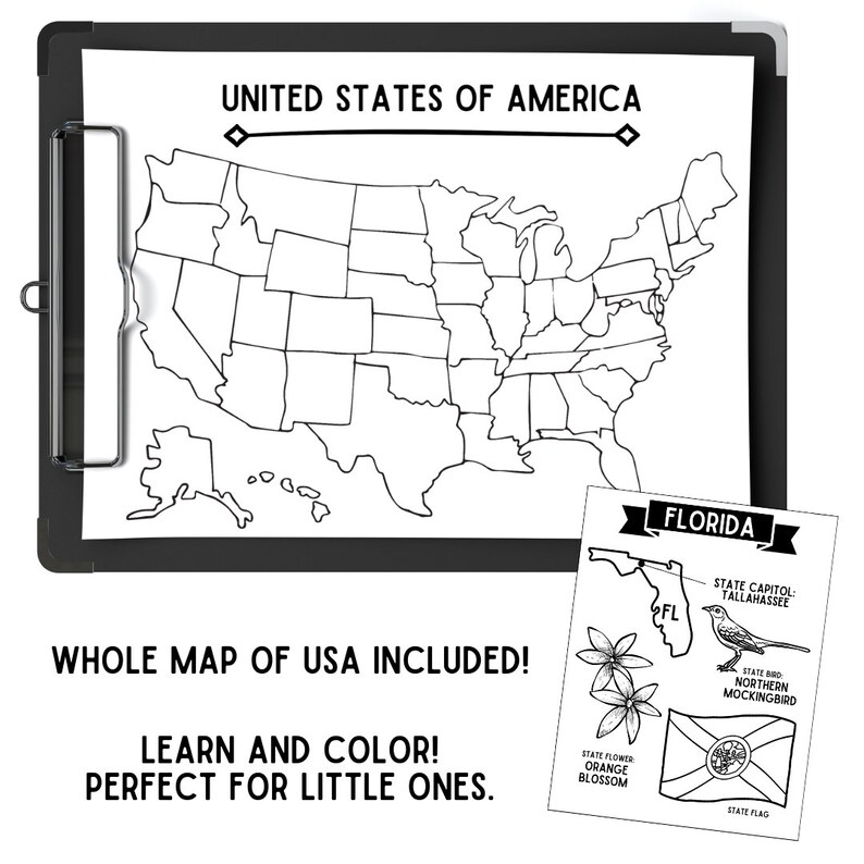 50 States Study and Coloring Bundle, USA State Unit Study, Homeschool ...