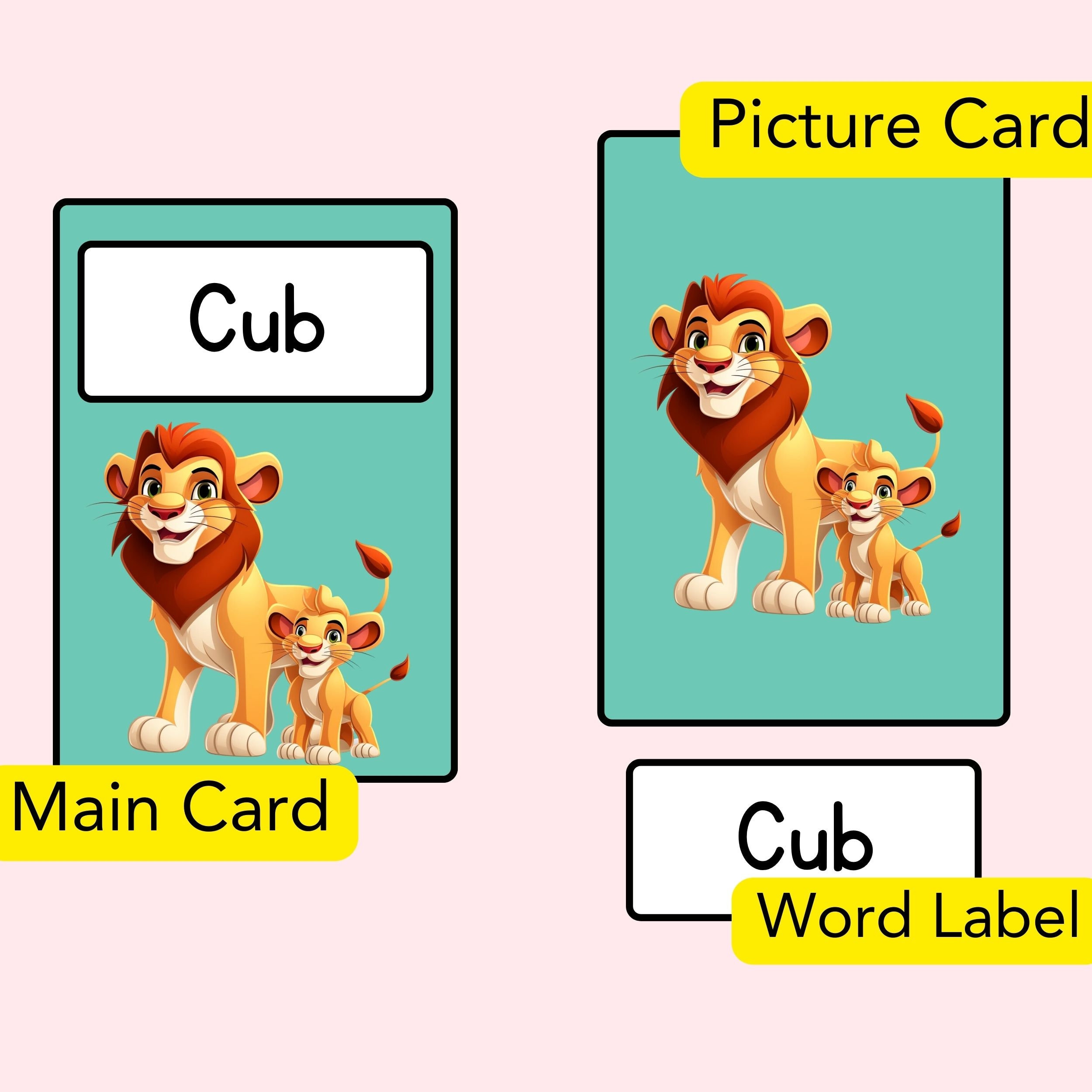 FRUITS real Pictures 48 Editable PDF Printable Fruits - Etsy