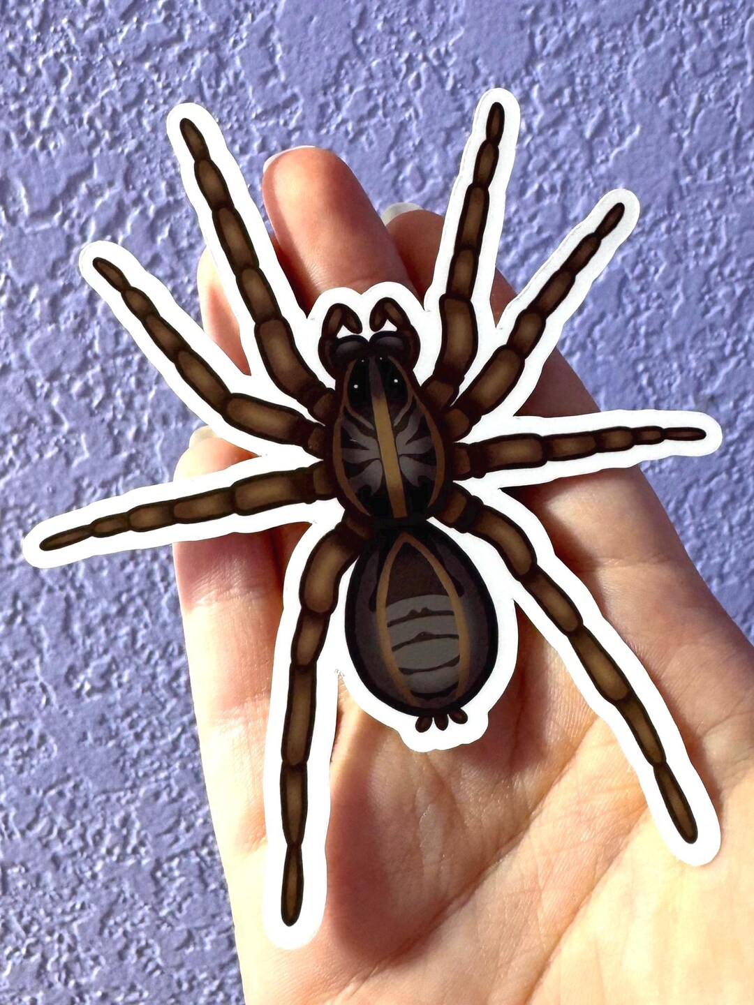 Wolf Spider Sticker - Etsy