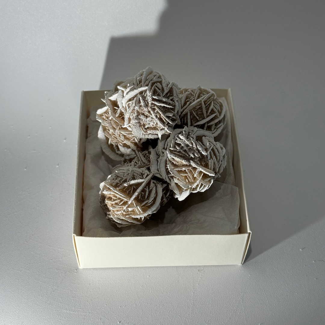 Gypsum Specimen - Mexican "desert Rose" - Etsy