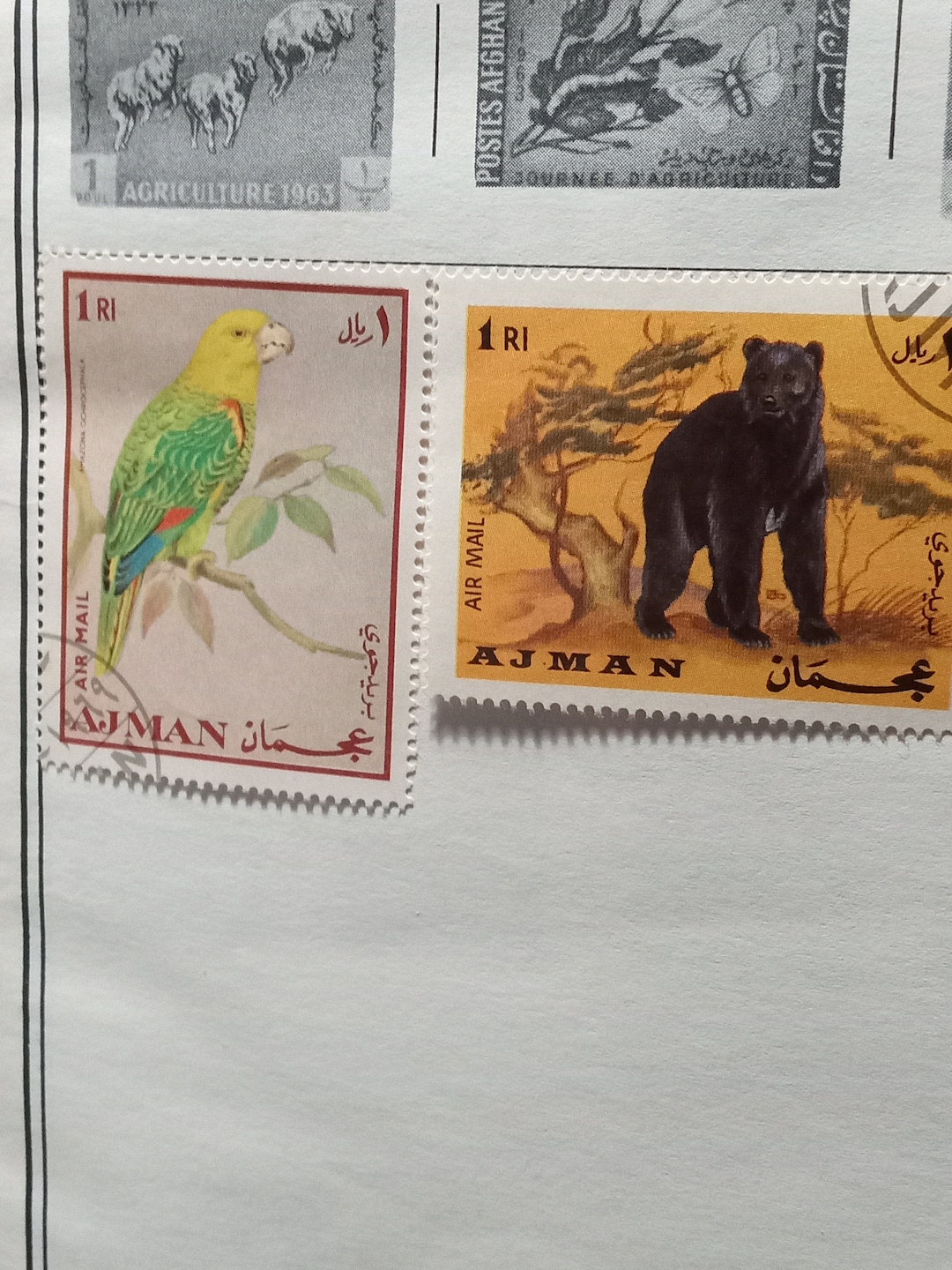 1969 1 Riyal Ajman Stamps Parrot and Bear - Etsy