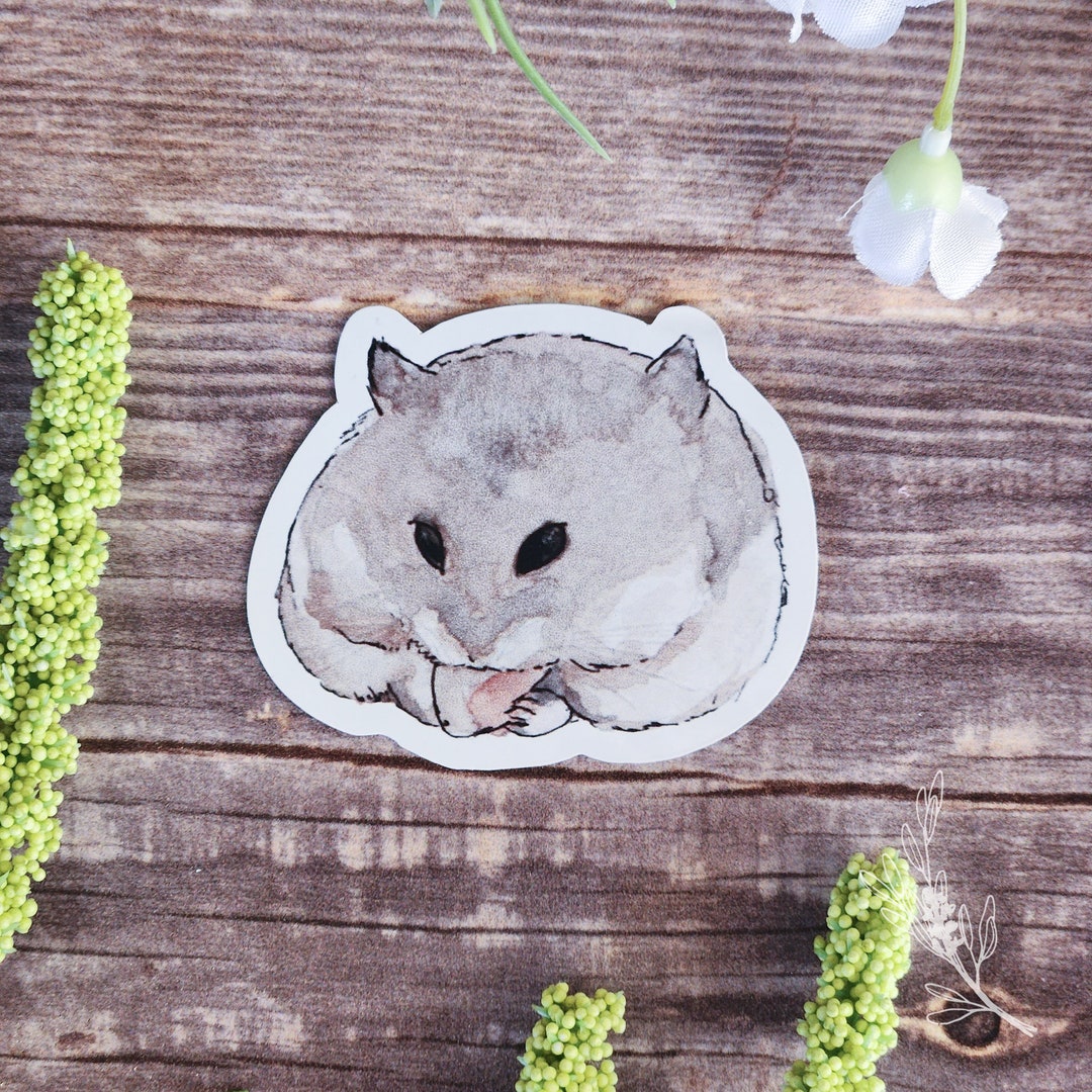 Cute Hamster Sticker | 2.5in Vinyl Sticker | Waterproof Sticker - Etsy