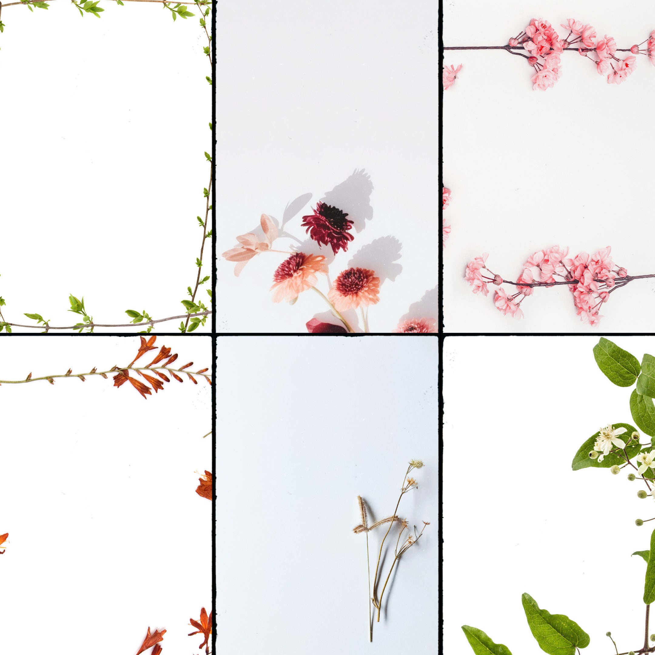 Floral Printable Letter Paper, Printable Notes Sheet, Letter Writing ...