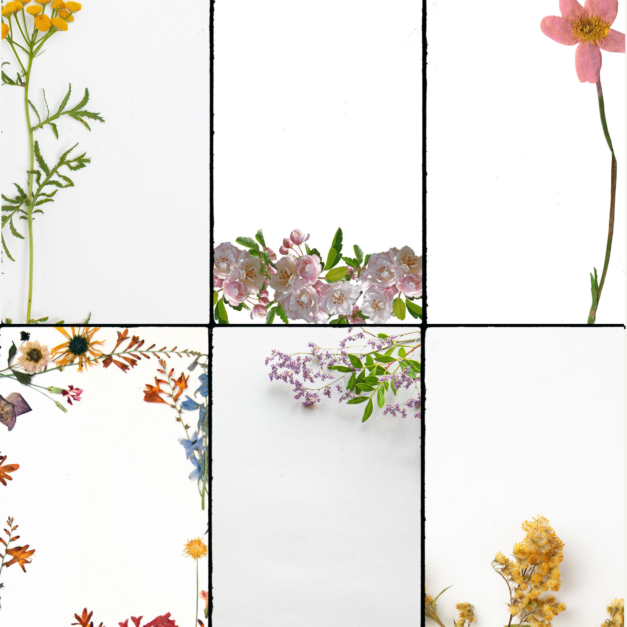 Floral Printable Letter Paper, Printable Notes Sheet, Letter Writing ...