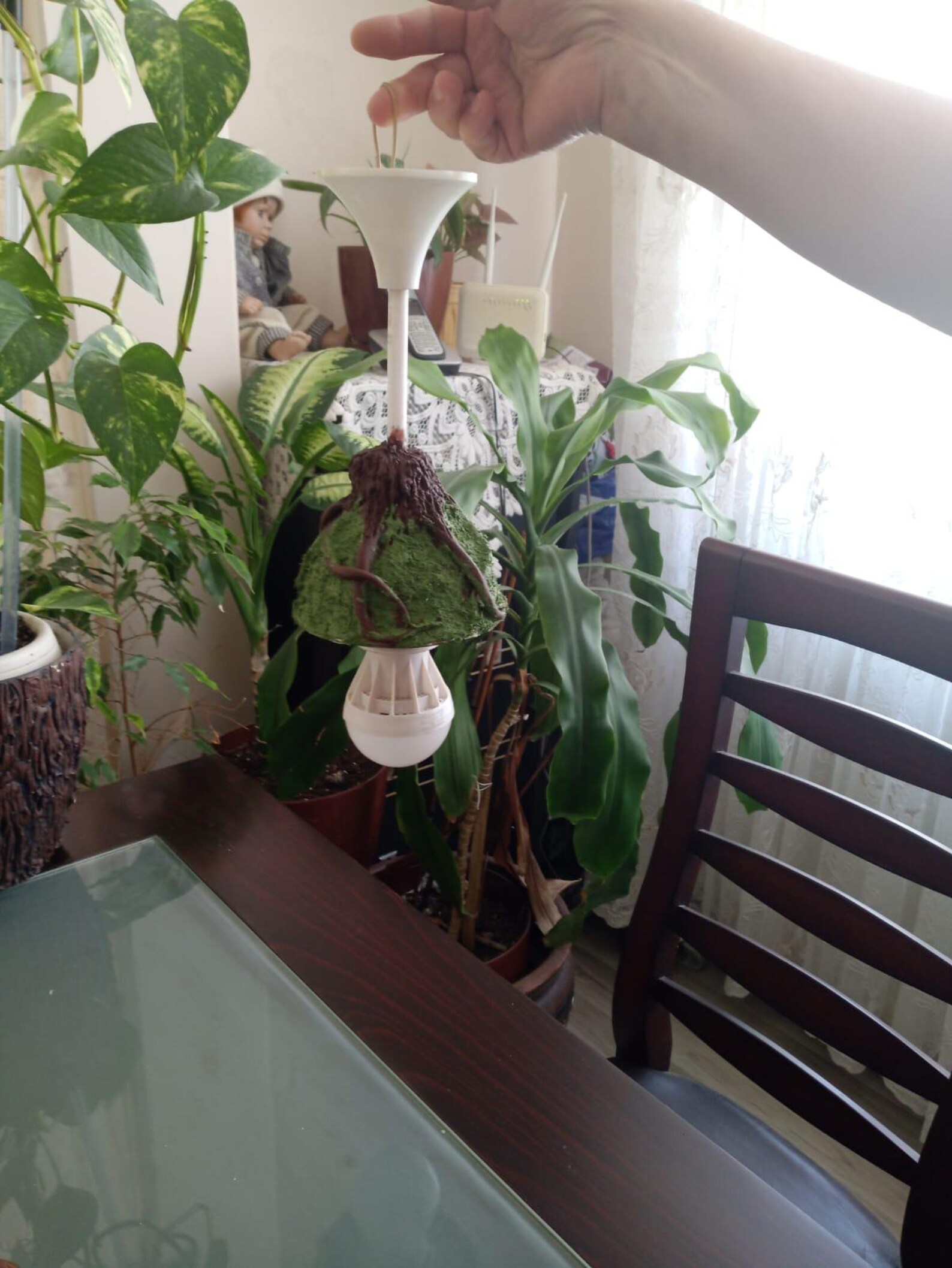 Nature Lighting Tree Root Chandelier With Rustic Moss, Handmade ...