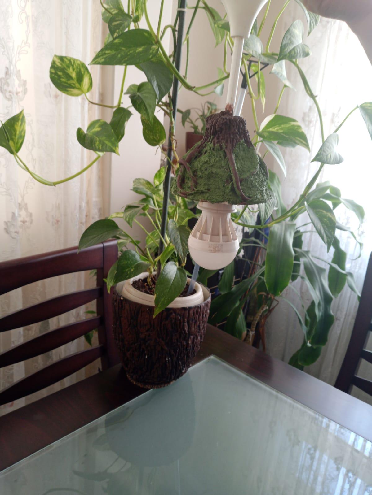 Nature Lighting Tree Root Chandelier With Rustic Moss, Handmade ...